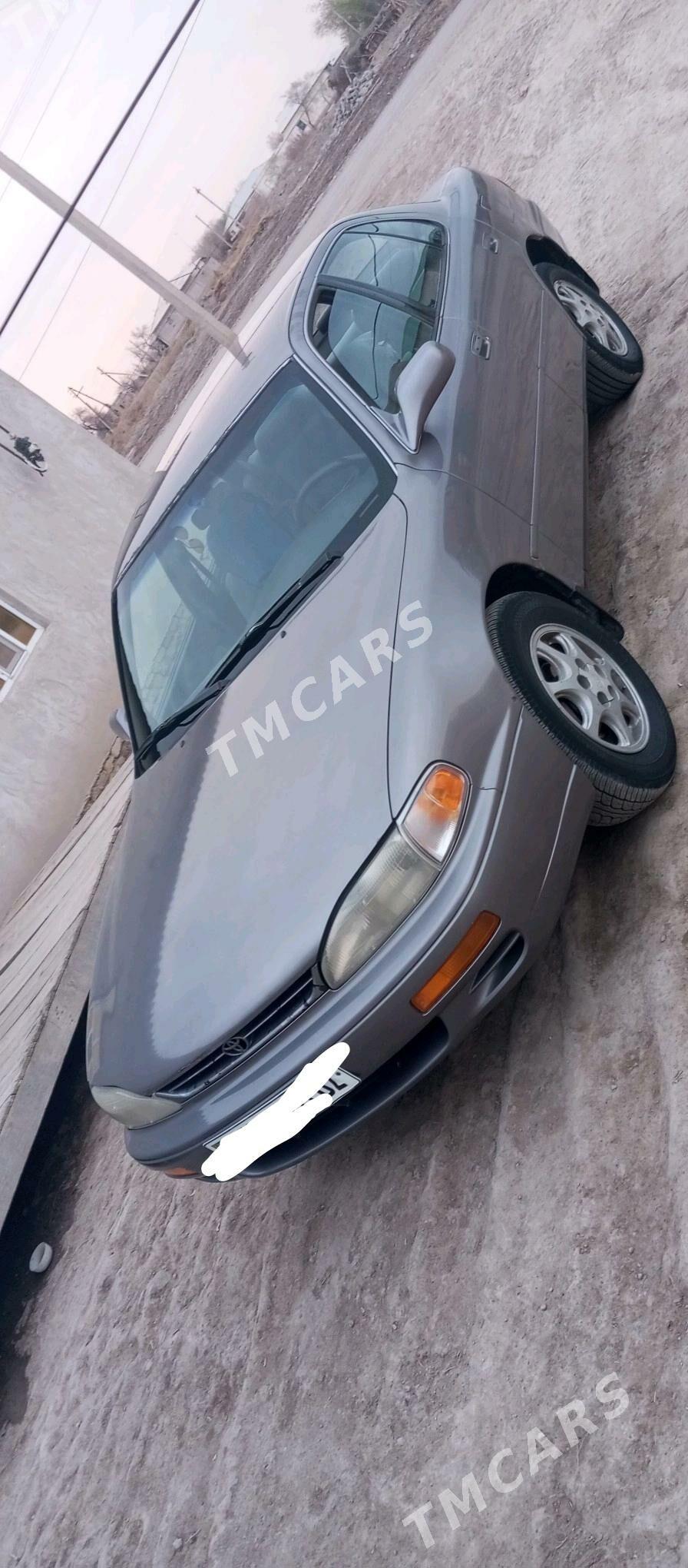 Toyota Camry 1995 - 95 000 TMT - Boldumsaz | TMCARS