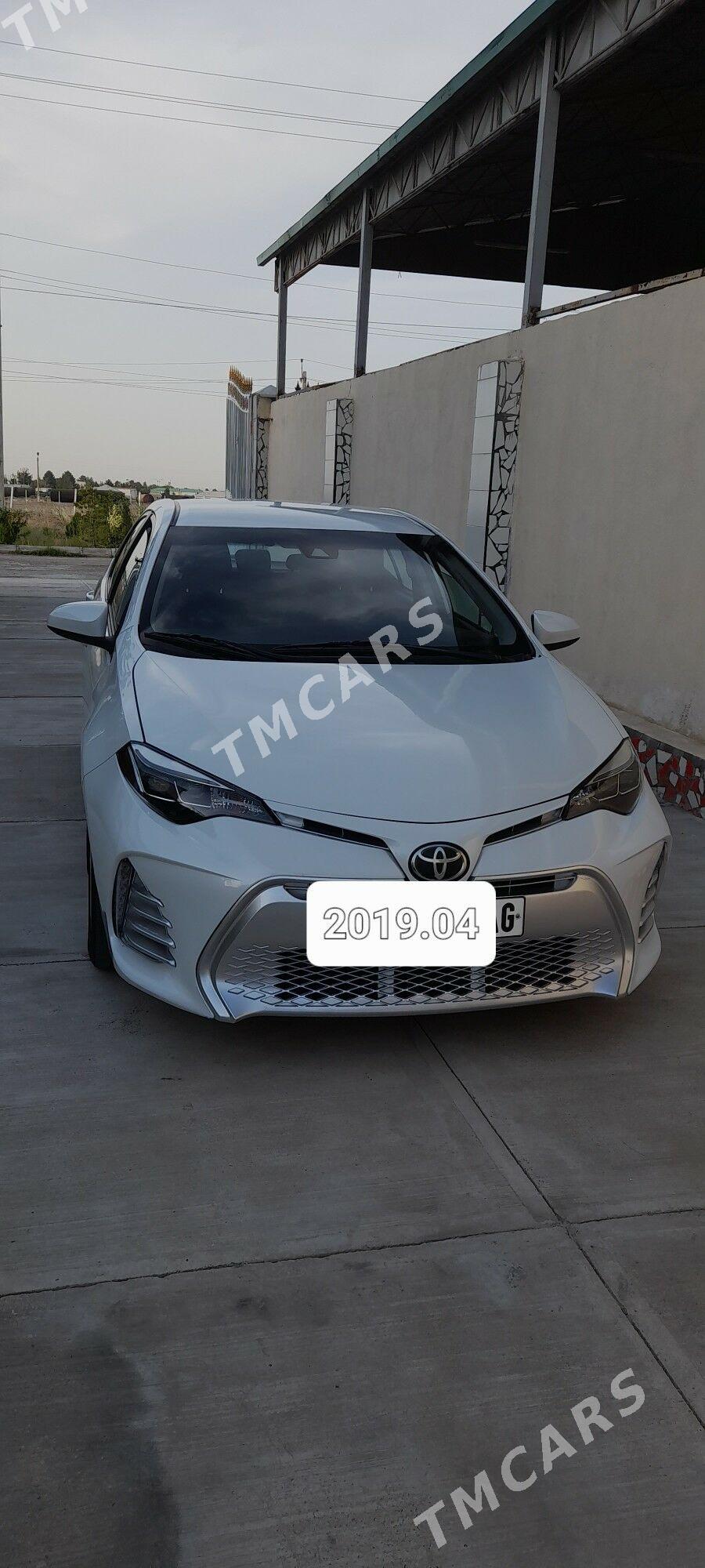 Toyota Corolla 2019 - 180 000 TMT - Büzmeýin | TMCARS